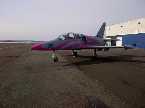 Our L-39 is getting "pinked" - Fly a jet fighter